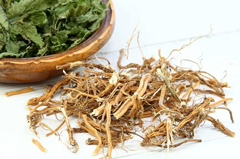 Beneficios de la raíz de ortiga para la próstata